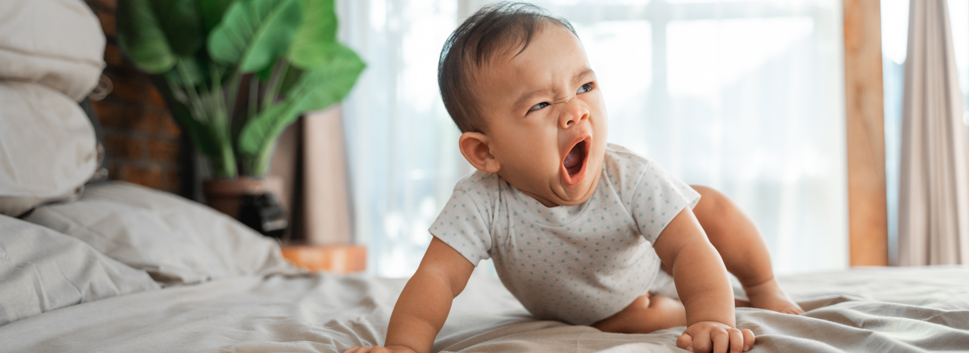 Baby Developmental Milestones & Sleep Regressions – SlumberPod Canada